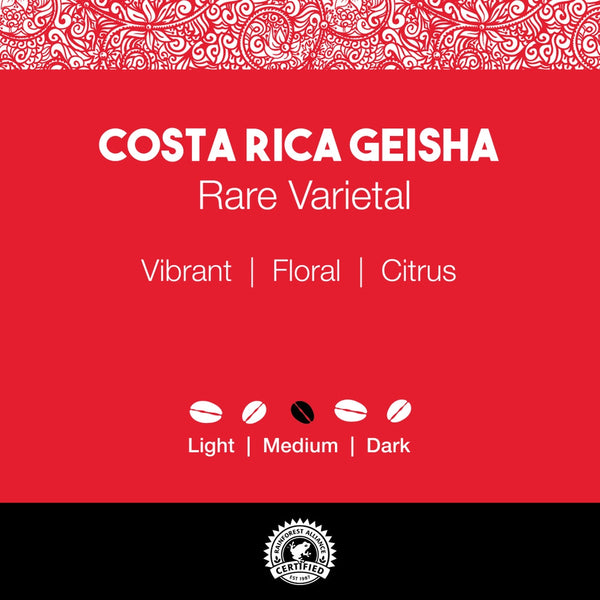 Costa Rica Geisha Coffee – Joe's Coffee House